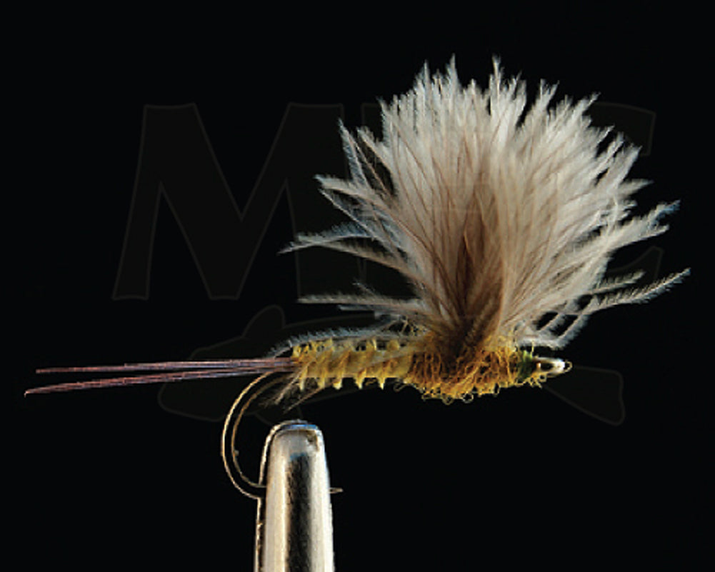 Montana Fly Company CDC Comparadun – Ed's Fly Shop