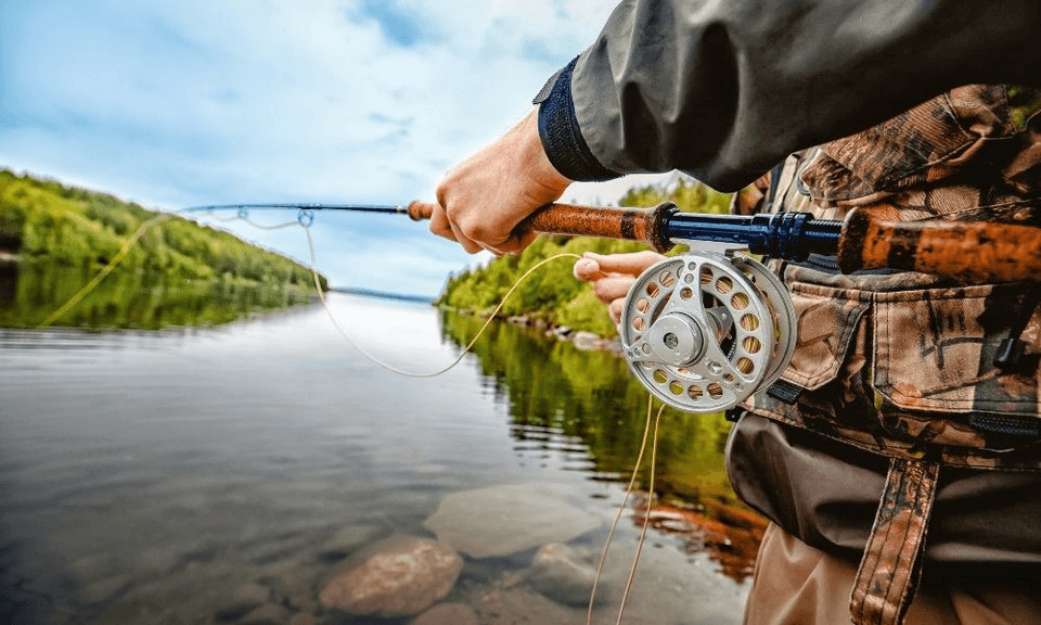 Fly Fishing Supplies & Accessories Online – Ed's Fly Shop