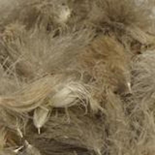 TroutHunter CDC Puffs - 3.5g - Fly Tying – Ed's Fly Shop